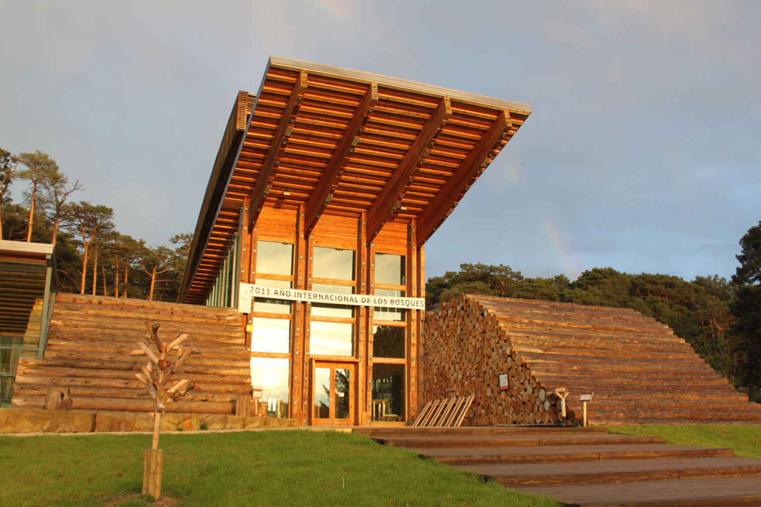 Madera Estructural - Madera PinoSoria